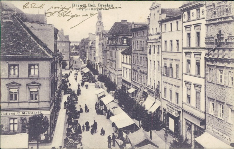 Alte Ansichtskarten Brieg / Brzeg | mypostcardshop.de